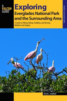 Exploring Everglades National Park and the Surrounding Area eBook by ...