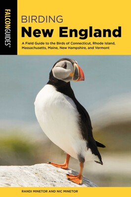 Birding New England | Book by Randi Minetor, Nic Minetor | Official ...