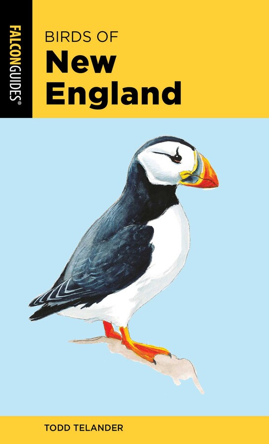 Birds of New England | Book by Todd Telander | Official Publisher Page ...