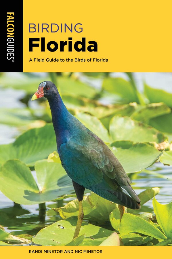 Birding Florida | Book by Randi Minetor, Nic Minetor | Official ...