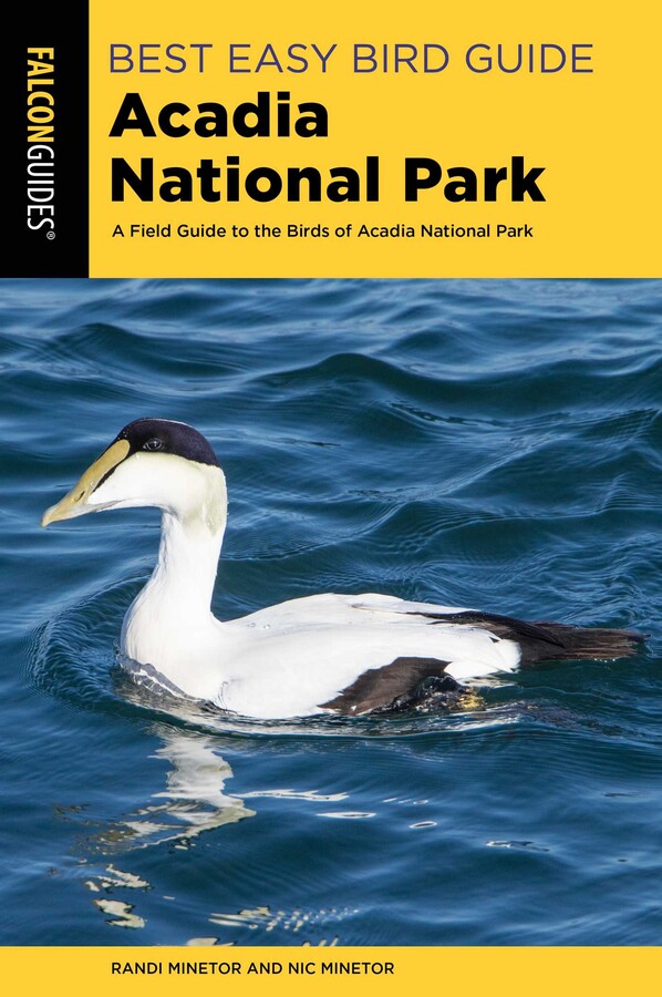 Best Easy Bird Guide Acadia National Park eBook by Randi Minetor, Nic ...