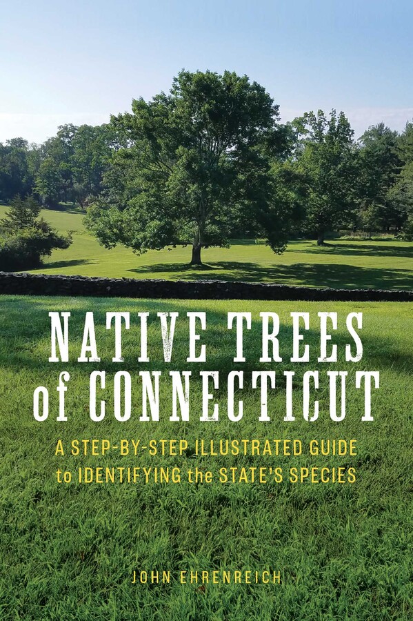 Native Trees of Connecticut eBook by John Ehrenreich | Official ...