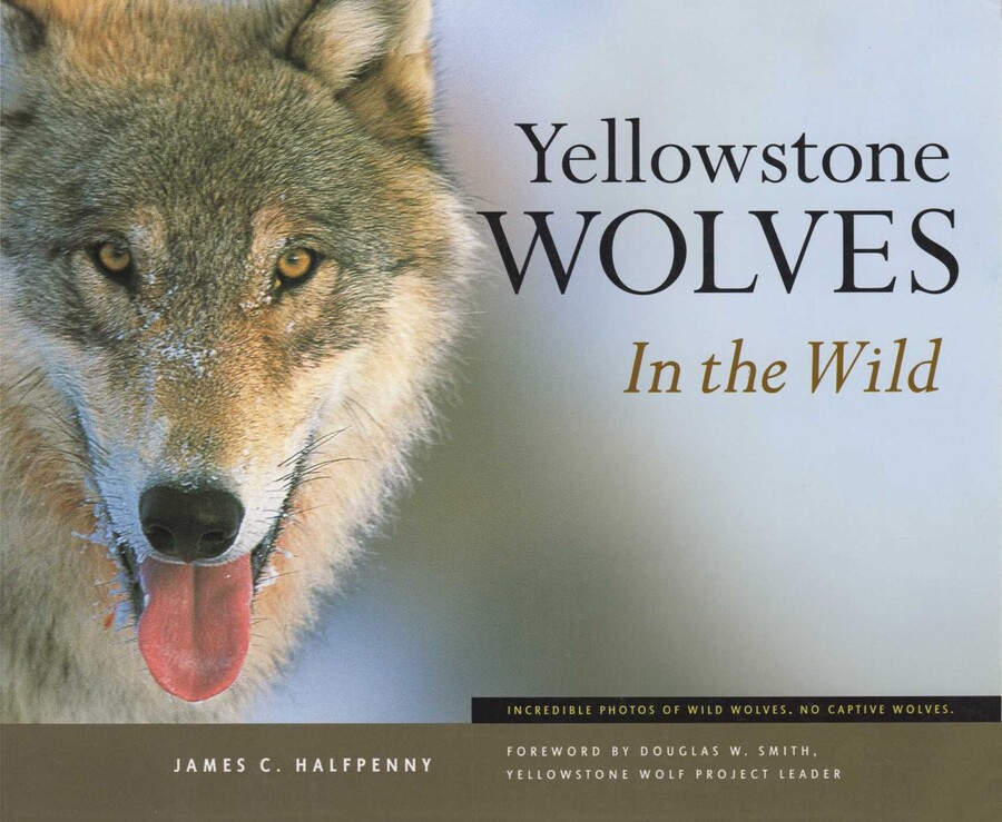 Yellowstone Wolves in the Wild eBook by James C Halfpenny | Official ...