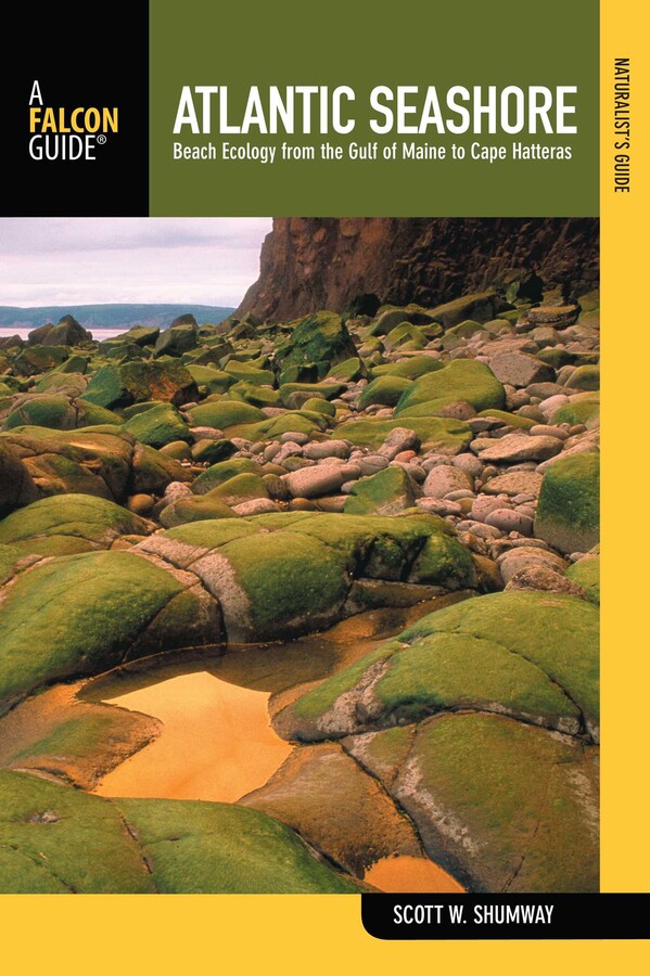 Naturalist's Guide to the Atlantic Seashore eBook by Scott Shumway ...