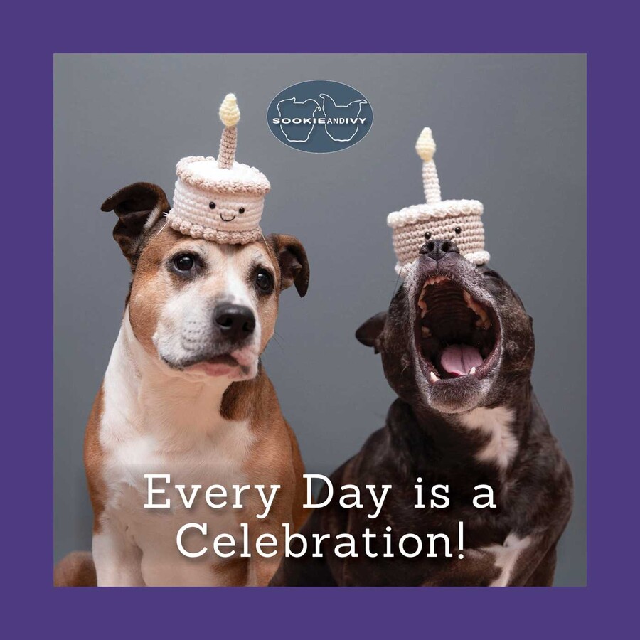 Sookie and Ivy Every Day Is a Celebration | Book by Jani Oja | Official ...