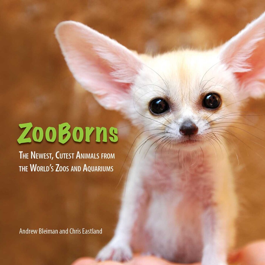 ZooBorns eBook by Andrew Bleiman, Chris Eastland | Official Publisher Page | Simon & Schuster AU
