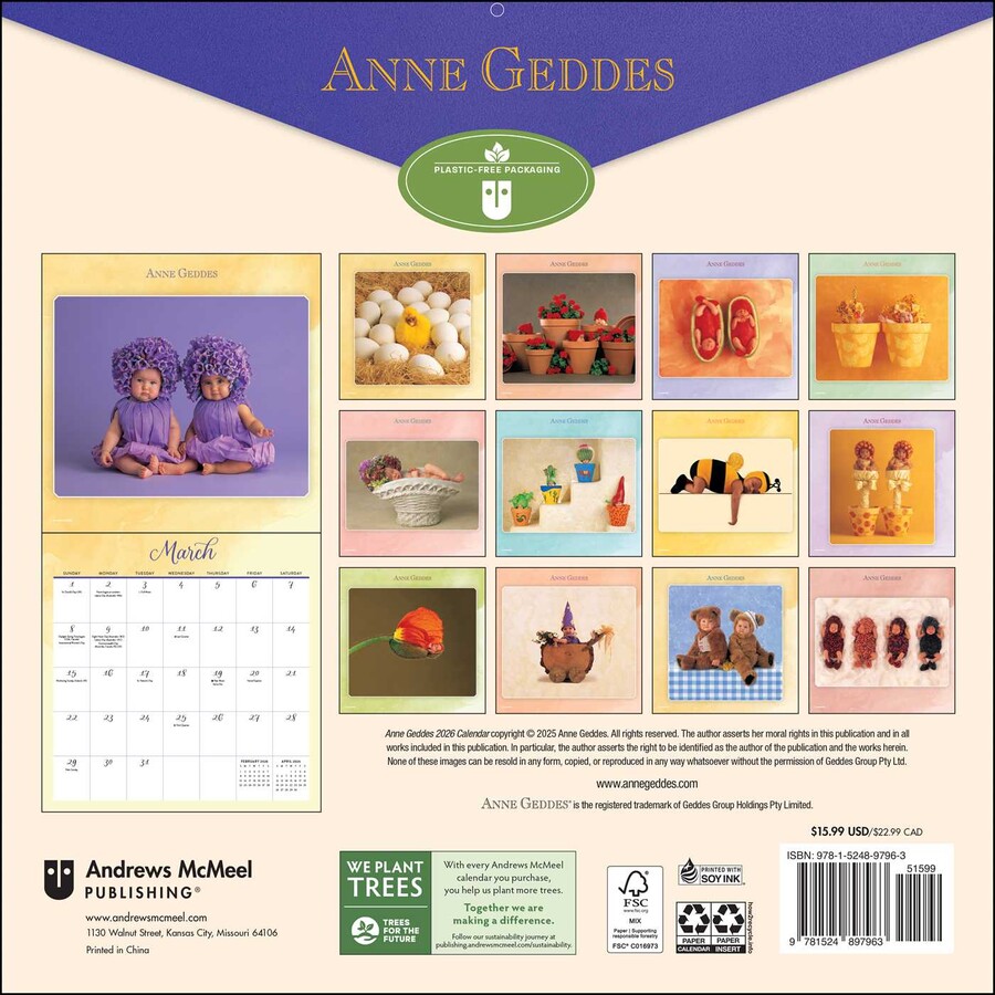 Anne Geddes 2026 Wall Calendar - Book Summary & Video | Official ...