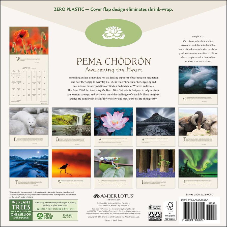 Pema ChÃ¶drÃ¶n 2026 Wall Calendar - Book Summary & Video | Official ...