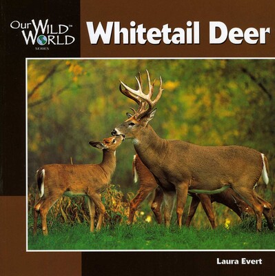 Whitetail Deer | Book by Laura Evert | Official Publisher Page | Simon ...