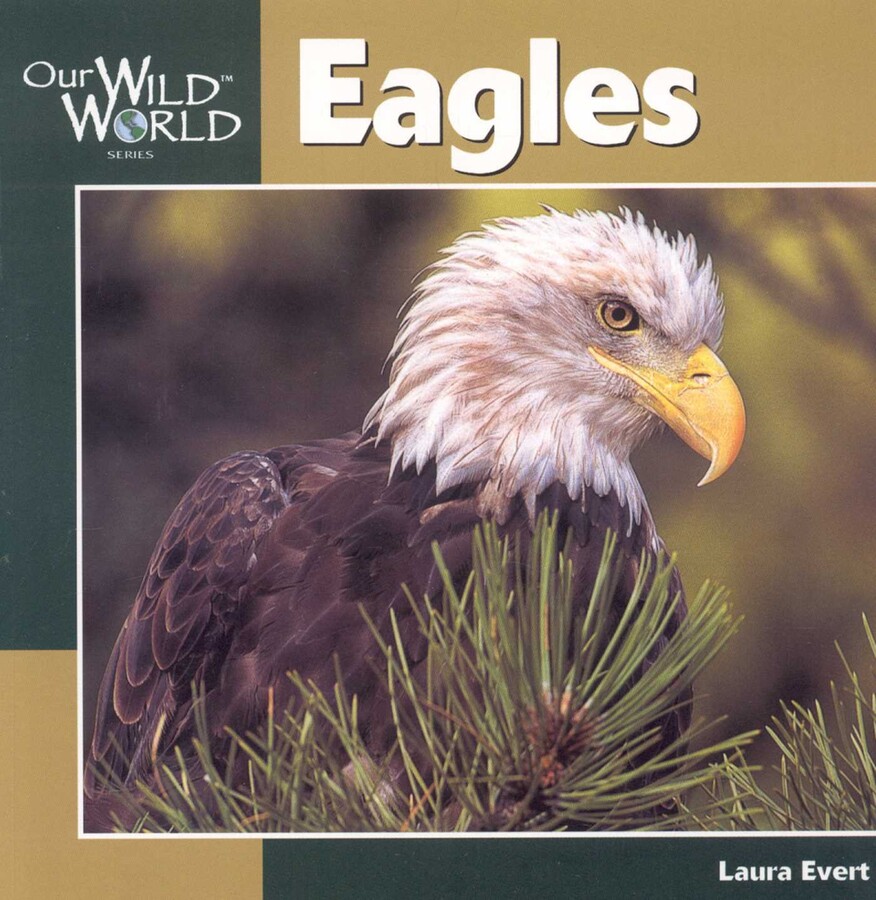 Eagles | Book by Laura Evert | Official Publisher Page | Simon & Schuster