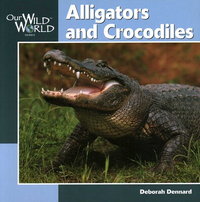 Alligators & Crocodiles | Book by Deborah Dennard | Official Publisher ...