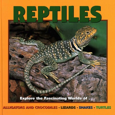 Reptiles | Book by Deborah Dennard | Official Publisher Page | Simon ...