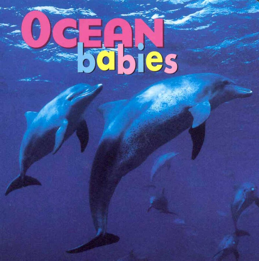 Ocean Babies | Book by Kristen McCurry | Official Publisher Page ...