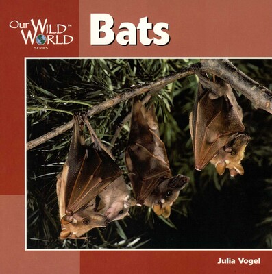 Bats | Book by Julia Vogel | Official Publisher Page | Simon & Schuster