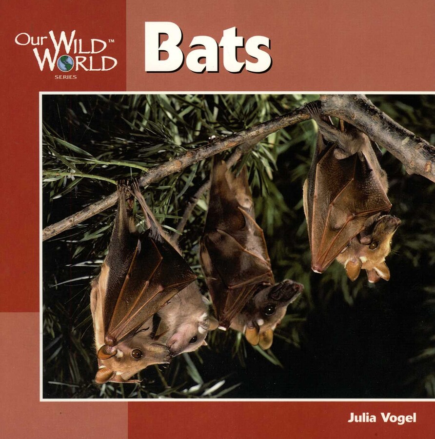 Bats | Book by Julia Vogel | Official Publisher Page | Simon & Schuster