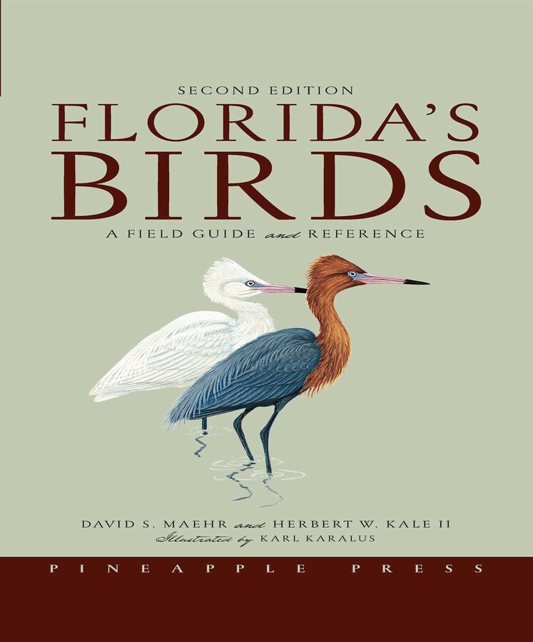 Florida's Birds | Book by David S. Maehr, Herbert W. Kale, Karl Karalus ...