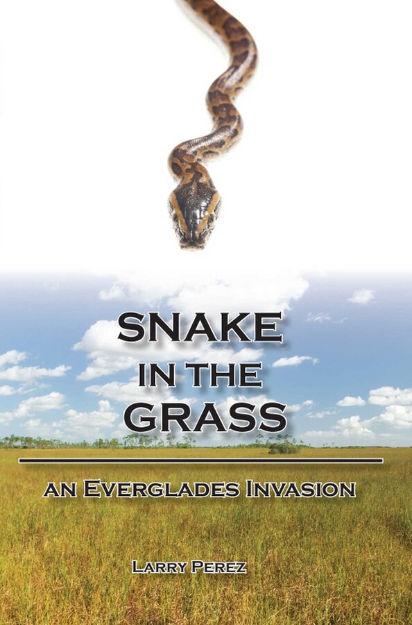 Snake in the Grass eBook by Larry Perez | Official Publisher Page ...