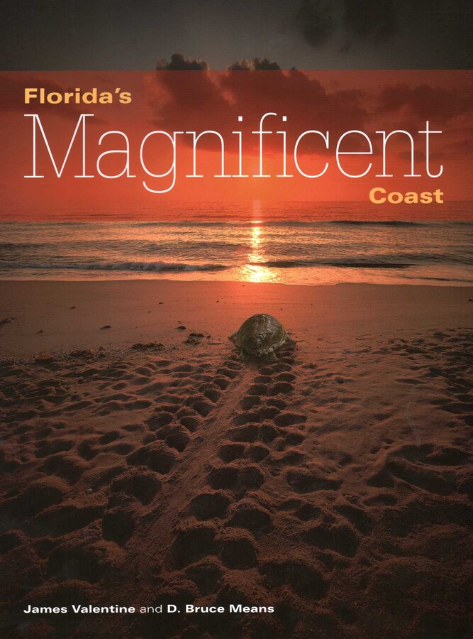 Florida's Magnificent Coast | Book by James Valentine, D. Bruce Means ...