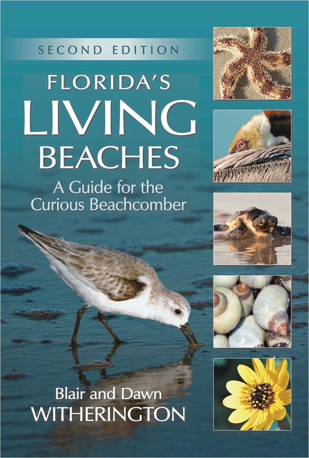 Florida's Living Beaches | Book by Blair Witherington | Official ...