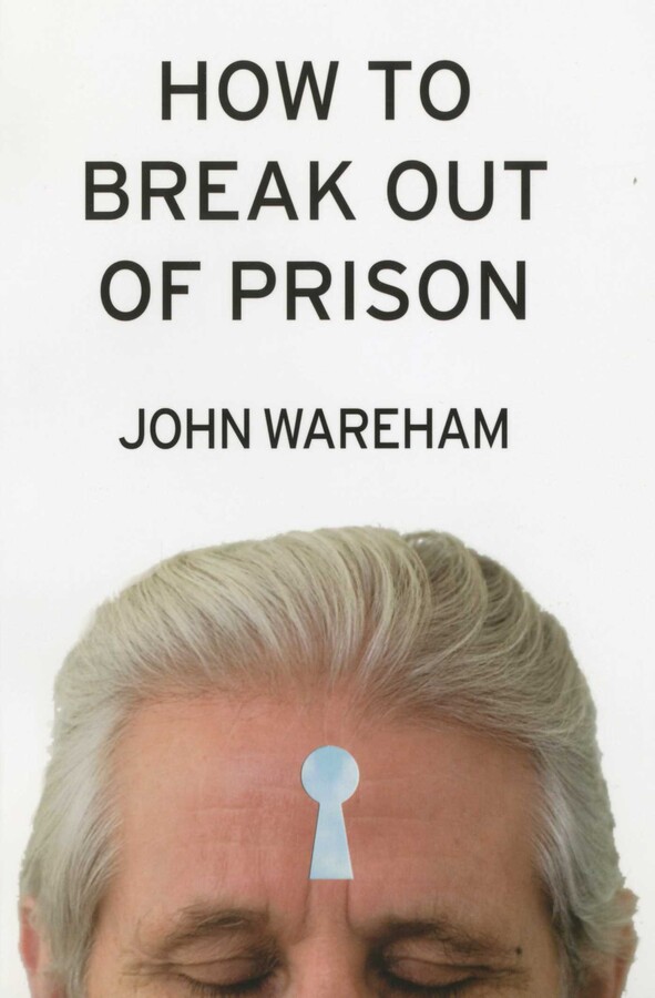 How to Break Out of Prison | Book by John Wareham | Official Publisher ...