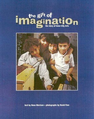 The Gift of Imagination | Book by Dena Merriam | Official Publisher ...