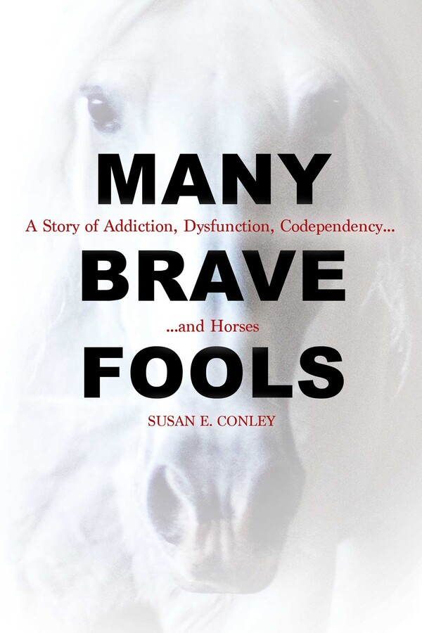 Many Brave Fools | Book by Susan E. Conley | Official Publisher Page ...