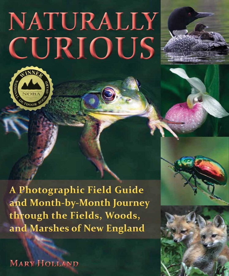 Naturally Curious | Book by Mary Holland | Official Publisher Page ...