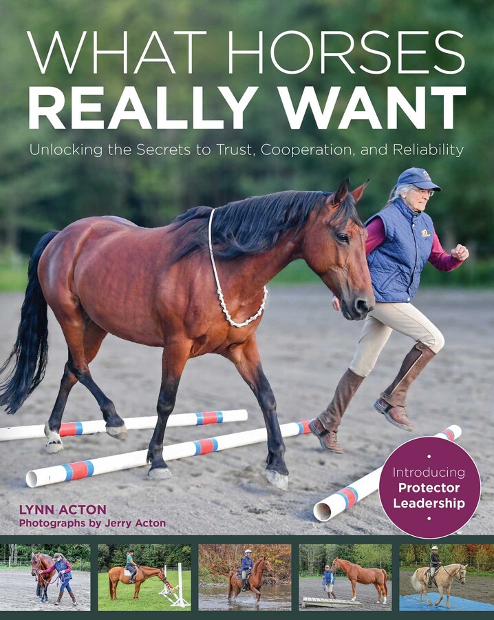 What Horses Really Want | Book by Lynn Acton | Official Publisher Page | Simon & Schuster