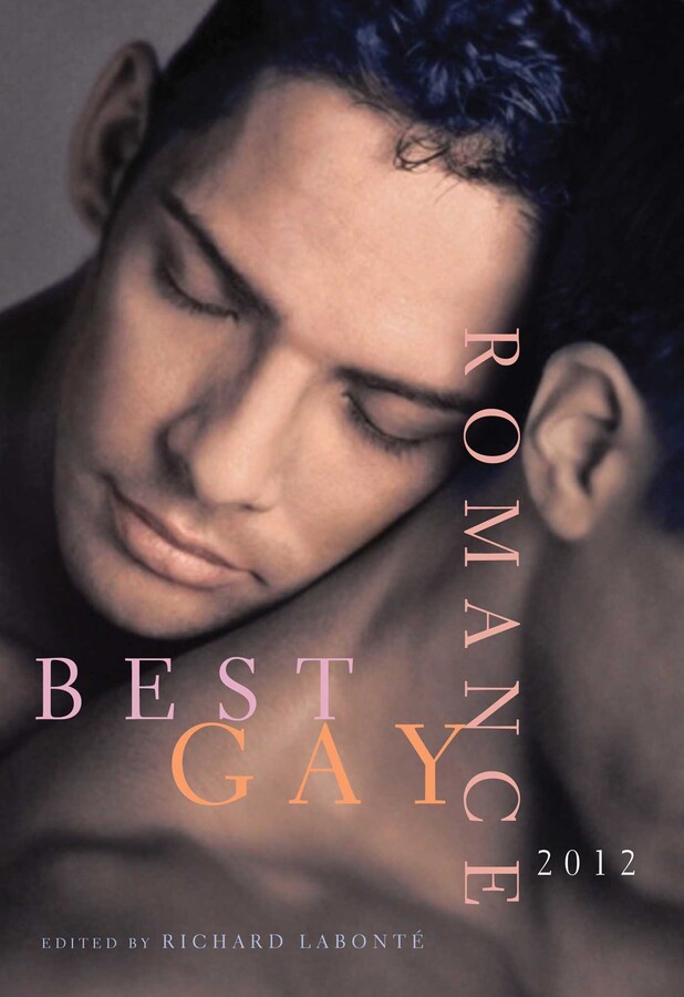 Best Gay Romance 2012 eBook by Richard Labonte | Official Publisher ...