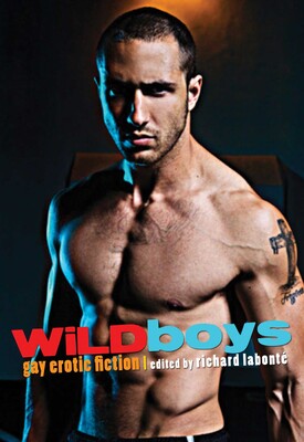 Wild Boys eBook by Richard Labonte | Official Publisher Page | Simon ...