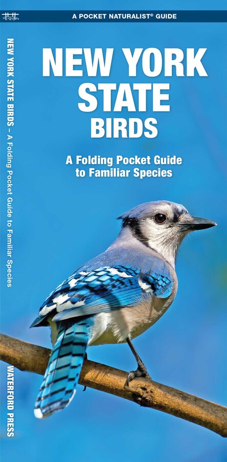 New York State Birds - Book Summary & Video | Official Publisher Page ...