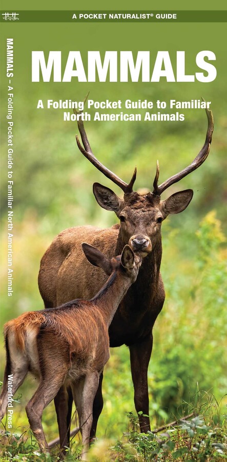 Mammals - Book Summary & Video | Official Publisher Page | Simon ...
