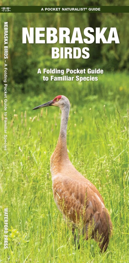 Nebraska Birds - Book Summary & Video | Official Publisher Page | Simon ...