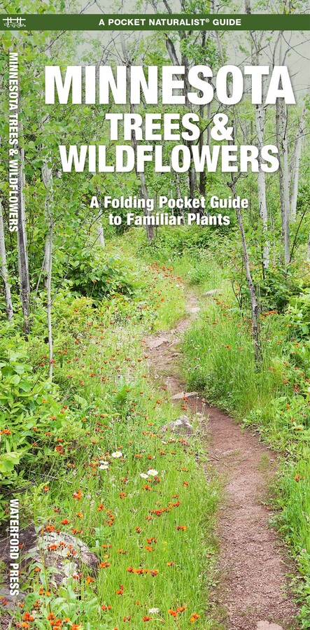 Minnesota Trees & Wildflowers - Book Summary & Video | Official ...