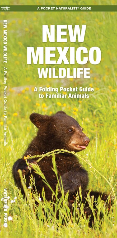 New Mexico Wildlife, 2nd Ed - Book Summary & Video | Official Publisher ...