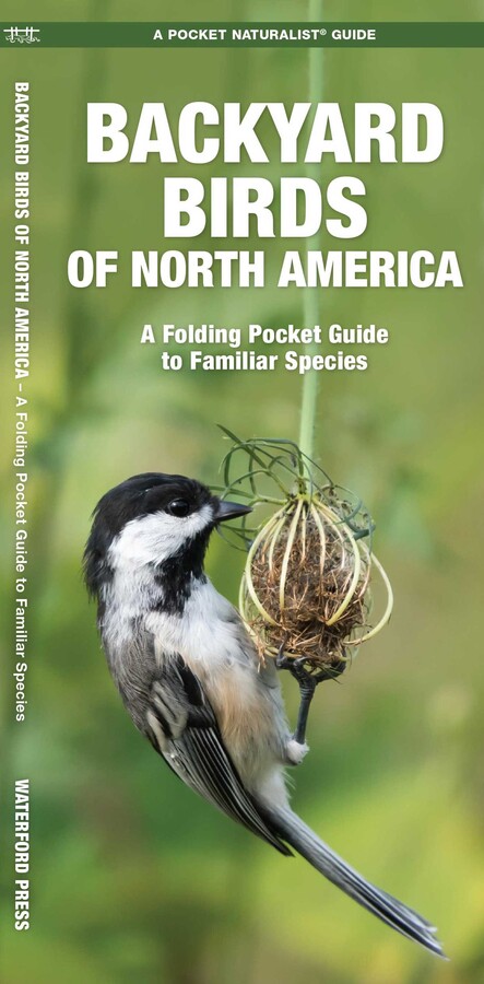 Backyard Birds of North America - Book Summary & Video | Official ...