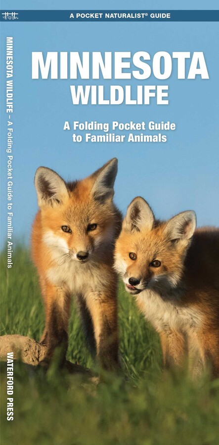 Minnesota Wildlife - Book Summary & Video | Official Publisher Page ...