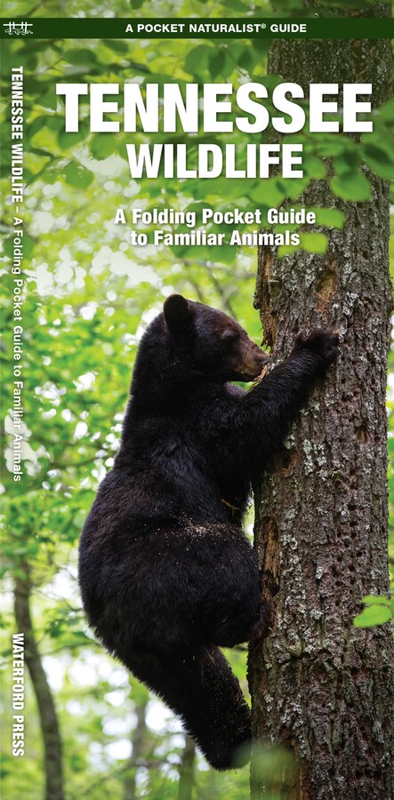 Tennessee Wildlife - Book Summary & Video | Official Publisher Page ...