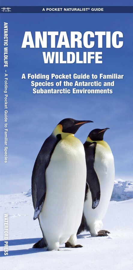 Antarctic Wildlife - Book Summary & Video | Official Publisher Page ...
