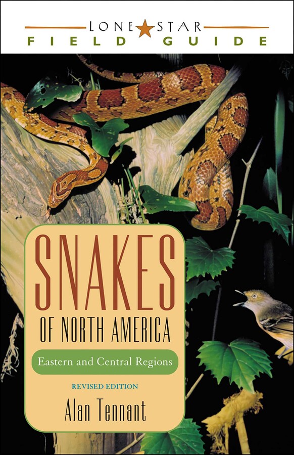 Snakes of North America | Book by Alan Tennant | Official Publisher ...
