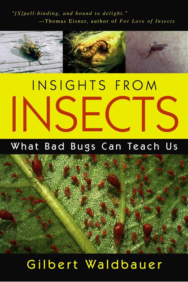 Insights From Insects | Book by Gilbert Waldbauer | Official Publisher ...