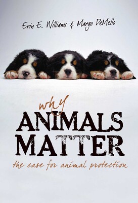 Why Animals Matter | Book by Erin E. Williams, Margo Demello | Official ...
