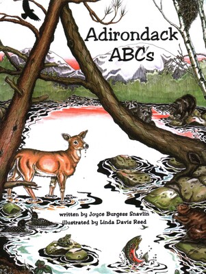 Adirondack ABCs | Book by Snavlin Reed | Official Publisher Page ...