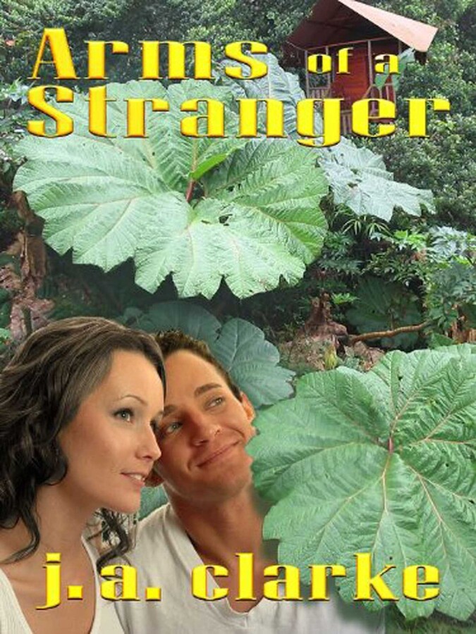 Arms of a Stranger eBook by J.A. Clarke | Official Publisher Page ...