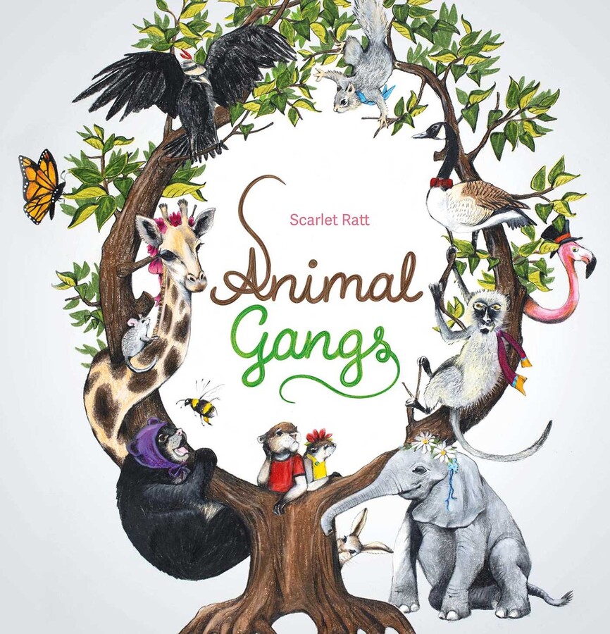 Animal Gangs | Book by Scarlet Ratt | Official Publisher Page | Simon ...