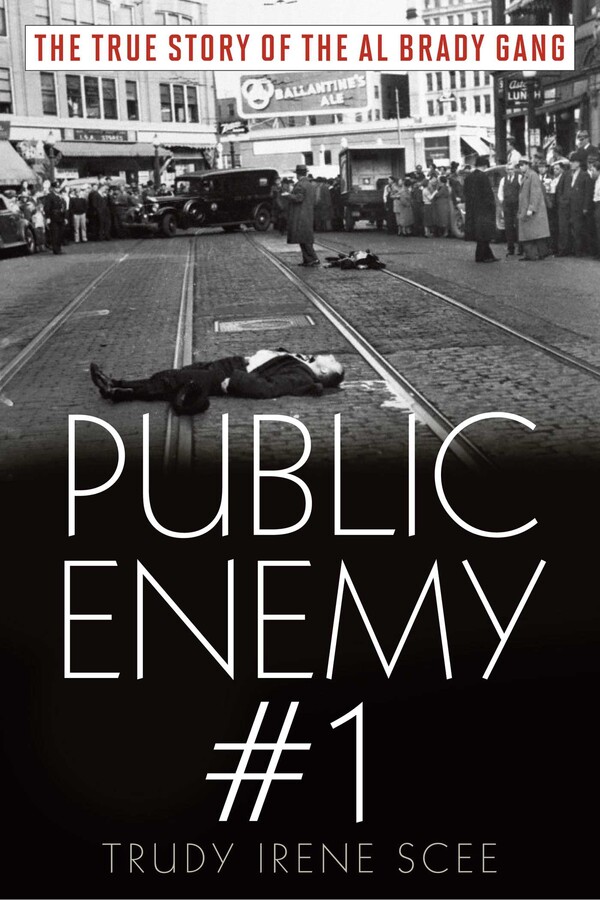 Public Enemy Number One eBook by Trudy Irene Scee | Official Publisher ...