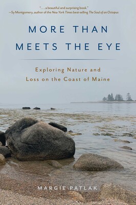 More Than Meets the Eye eBook by Margie Patlak | Official Publisher ...
