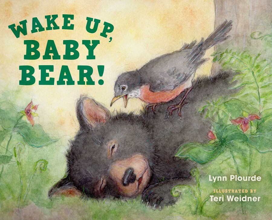 Wake Up, Baby Bear! eBook by Lynn Plourde, Teri Weidner | Official ...