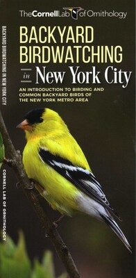 Backyard Birdwatching in New York City - Book Summary & Video ...