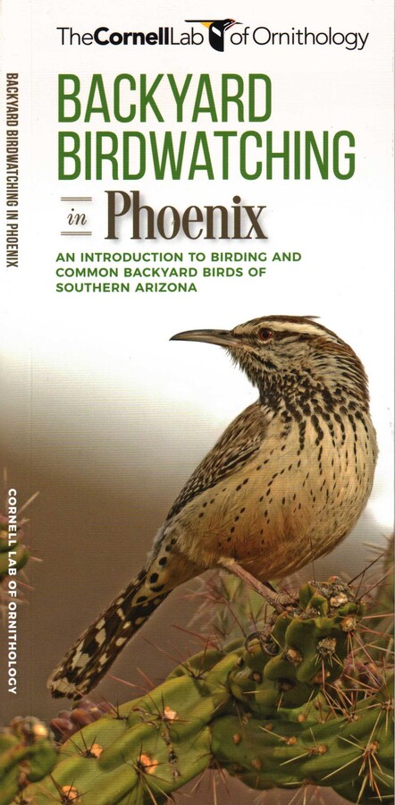 Backyard Birdwatching in Phoenix - Book Summary & Video | Official ...